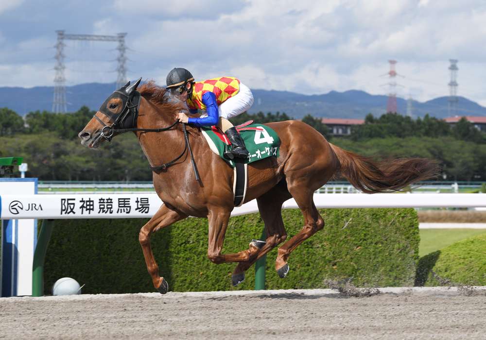 G1／Jpn1につながるアンタレスSを分析！ （JRA-VANコラム）｜スポーツ情報はdメニュースポーツ