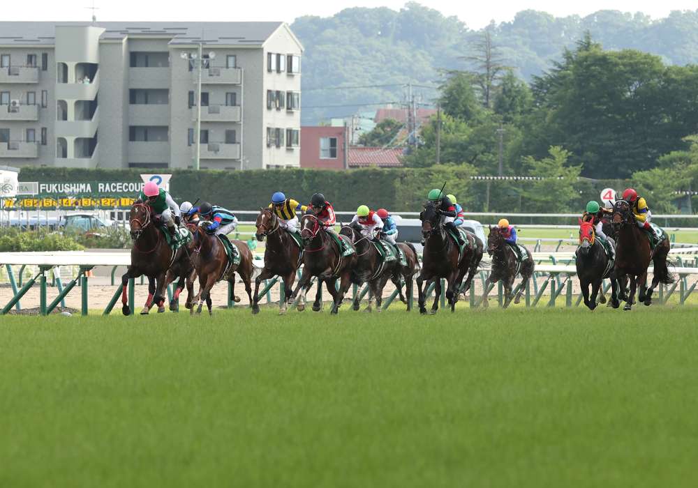 新潟記念の見どころはディープVSキンカメ!?（JRA-VANコラム）｜スポーツ情報はdメニュースポーツ
