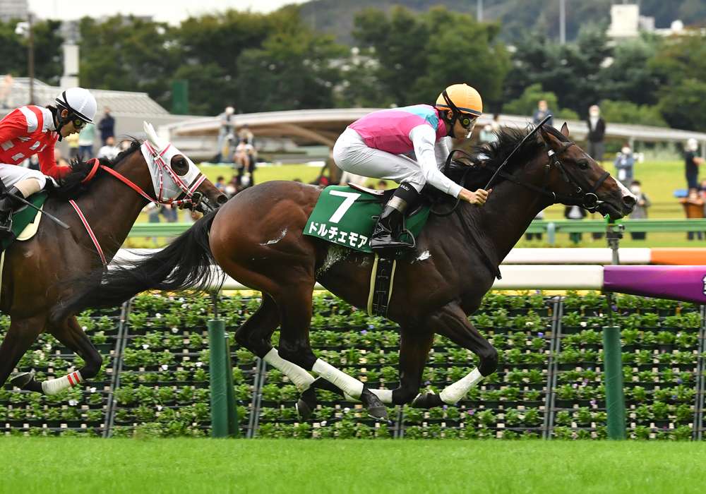 実績か、未知の魅力か？ 朝日杯FSを分析する（JRA-VANコラム）｜スポーツ情報はdメニュースポーツ